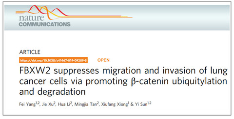 遗传学检测方法：荧光原位杂交（FISH）vs 微整列比较基因组杂交（aCGH） - 知乎