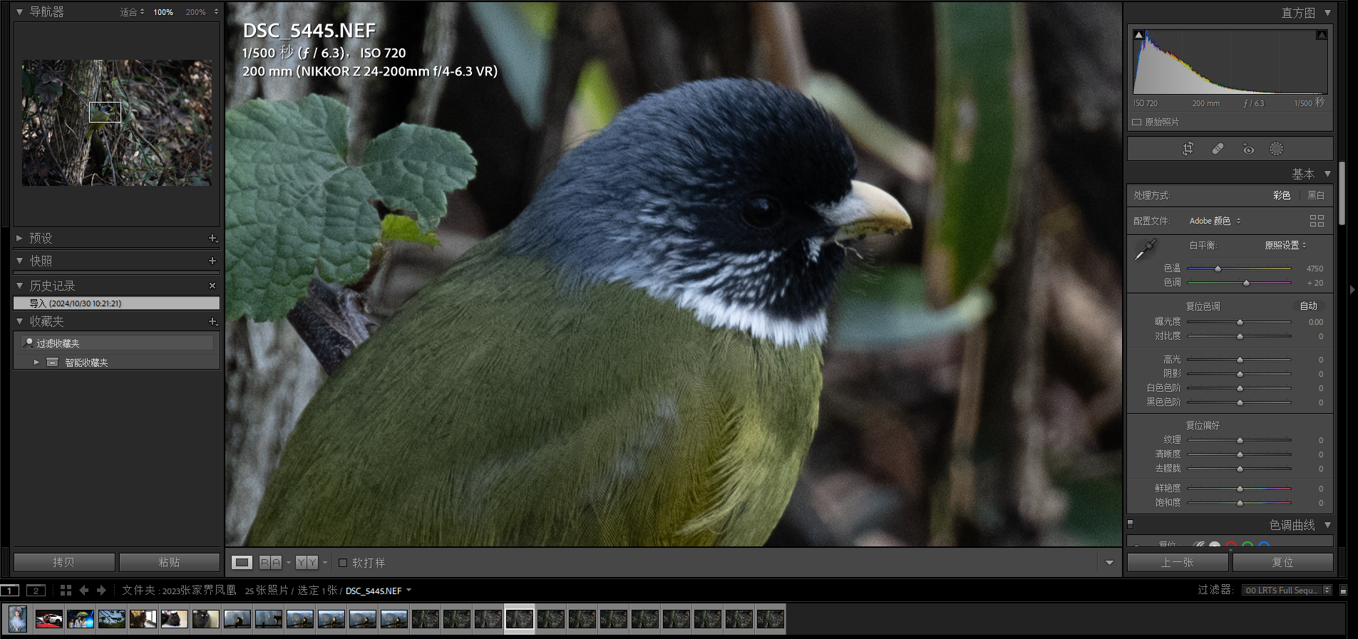 2024年，尼康Z63和尼康Z72应该如何选择？ - 知乎