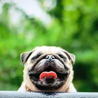 聚类性能评估-V-Measure - 知乎