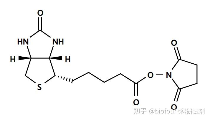 NHS-Biotin；生物素标记试剂 - 知乎