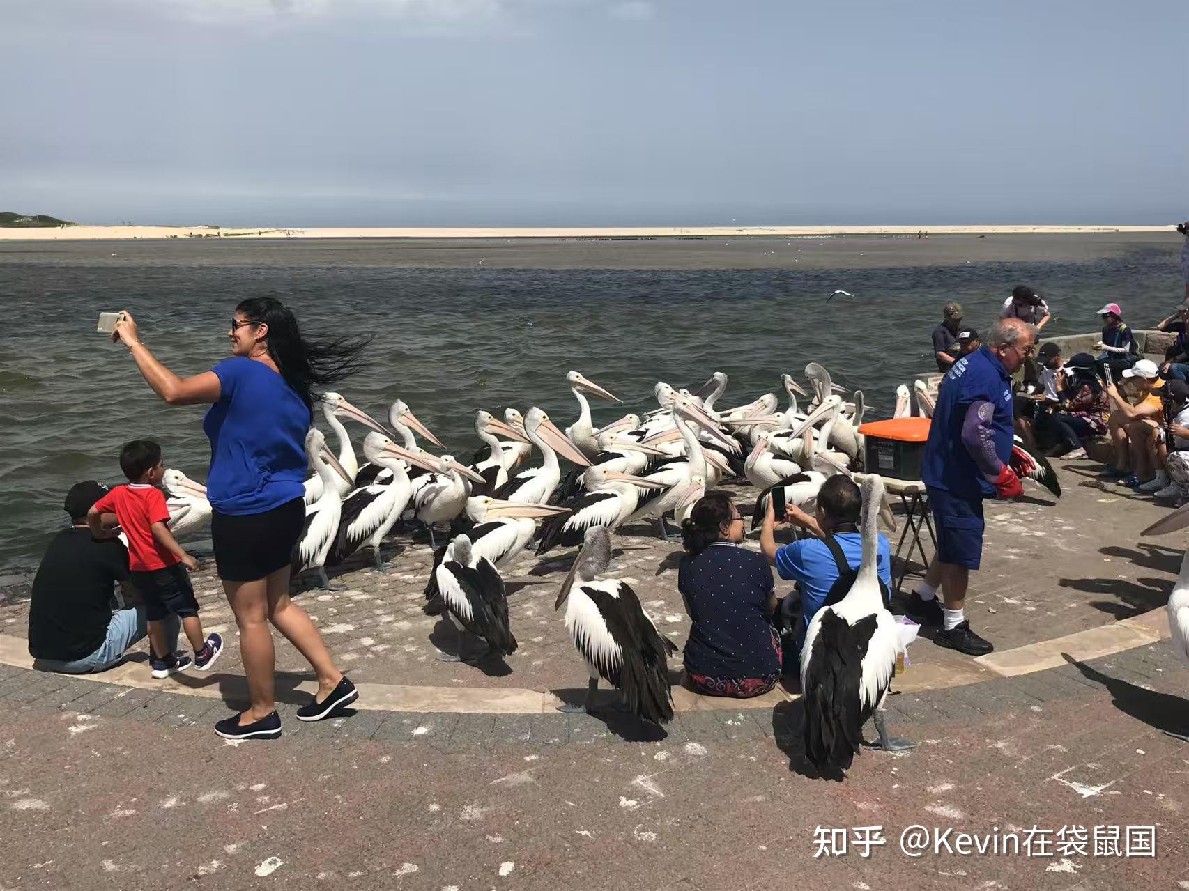 生活在澳大利亚的悉尼，是一种什么的体验？ - 知乎