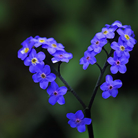 2026-1-19 08:32:54TX Ma - 知乎