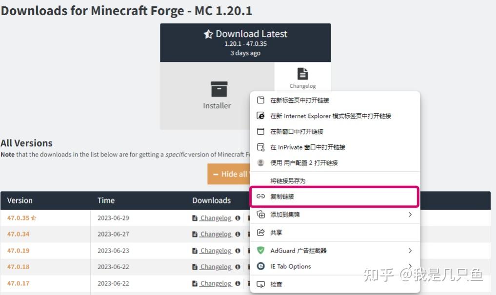 怎么安装 Forge ？手把手教你安装！ - 知乎