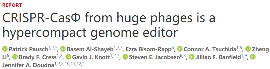Science | CasΦ是否有望取代Cas9成为更高效便利的编辑器？ - 知乎
