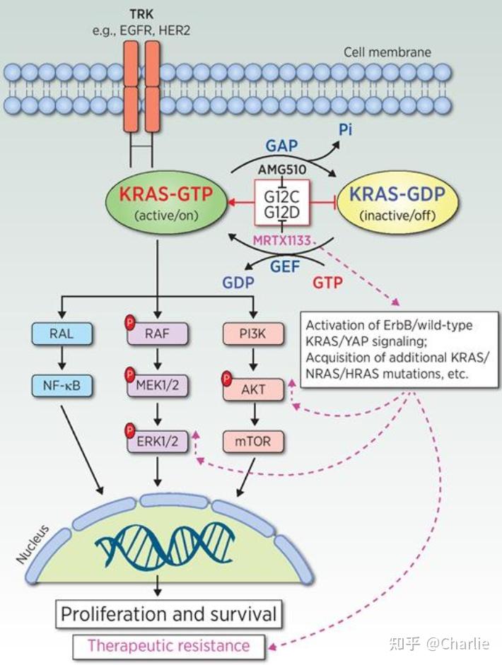 1-2 药化视角_RMC6236 - 知乎