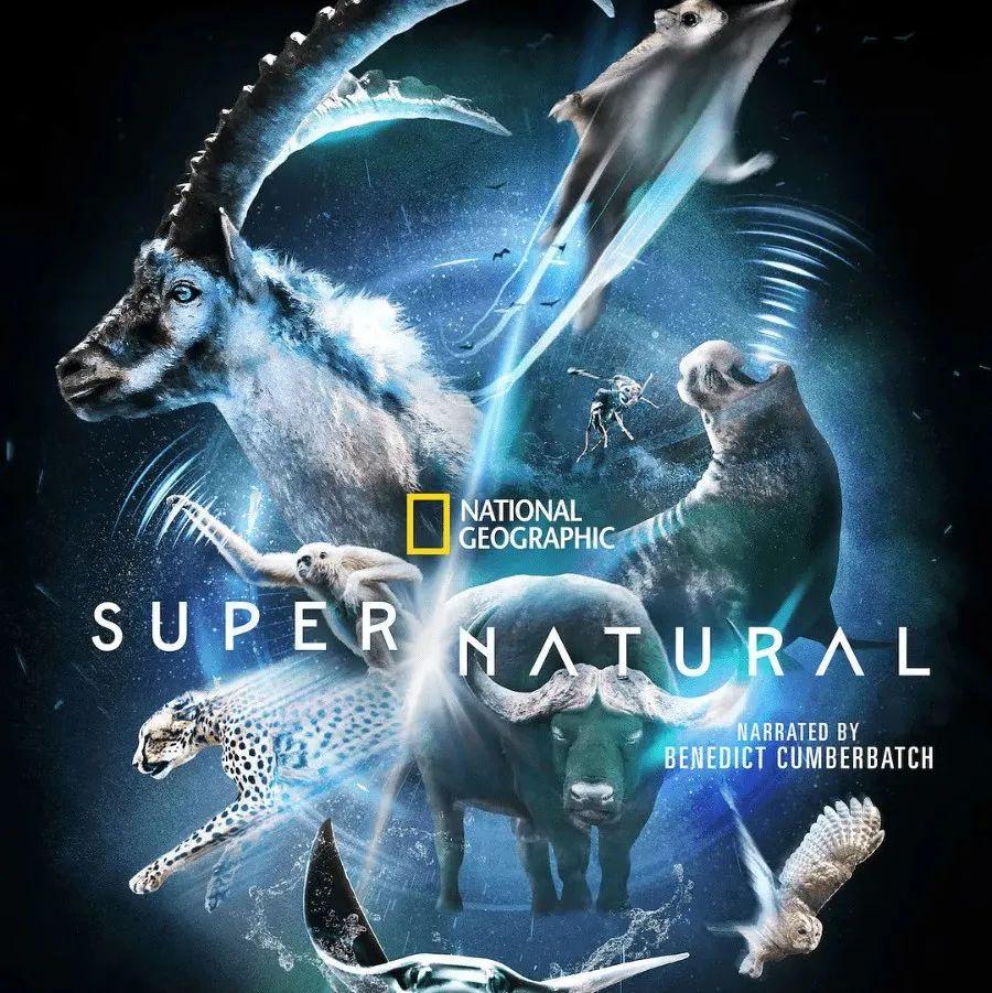 制片人：詹姆斯·卡梅隆，最新记录片《超/自然 Super/Natural》 - 知乎