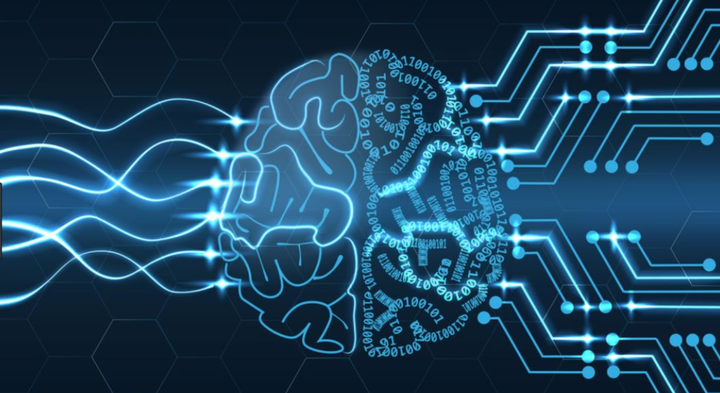 Nat Protoc | AI学习量化细胞和细胞核形态异质性，可用于表型或药物筛选 - 知乎