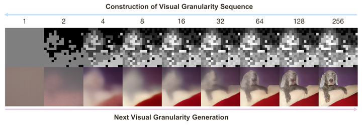 Next Visual Granularity Generation: 一种结构递进的图像生成方法 - 知乎