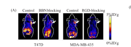 金属环状配体DOTA/NOTA/修饰蛙皮素-多肽/68Ga-NOTA-BBN-RGD - 知乎