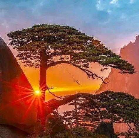 APP优化 —— MMAP内存映射 - 知乎