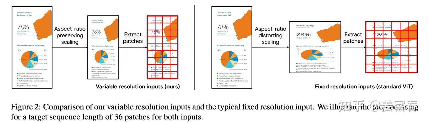 多模态技术梳理：ViT系列（ViT, Pix2Struct, FlexiViT, NaViT ） - 知乎