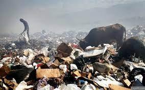 单词详解 | scavenge - 知乎