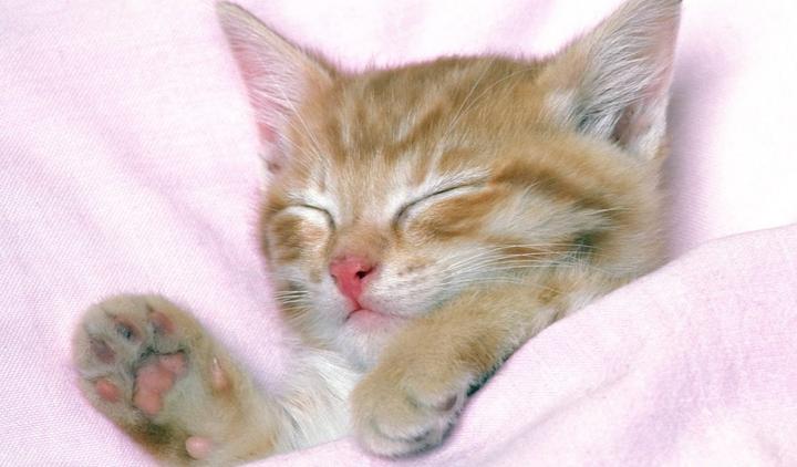 Unity WebGL project access FB SDK - 知乎