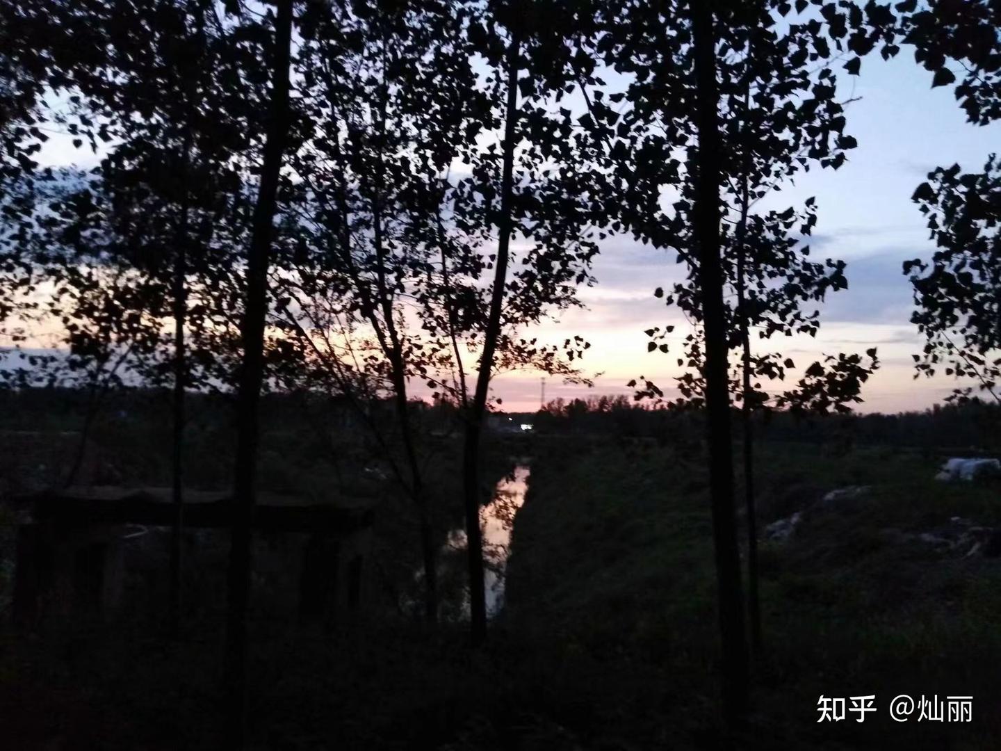 简单的自我介绍 知乎