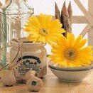 Linux yum upgrade与yum update区别 - 知乎