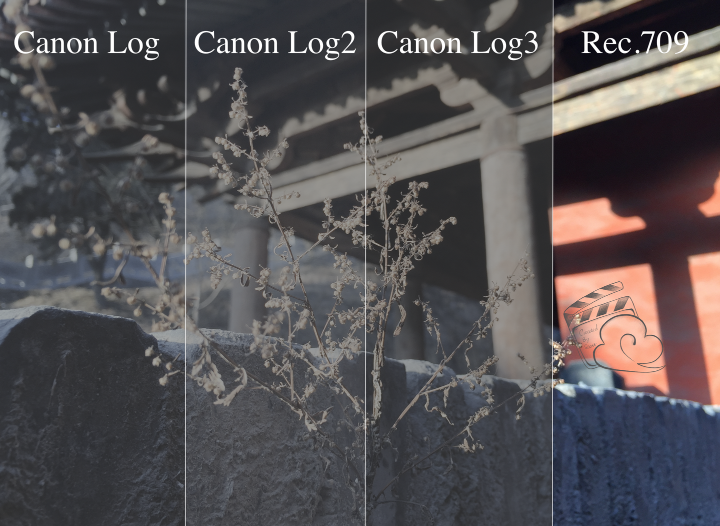 调色名词浅析——相机的 Log 模式 - 知乎