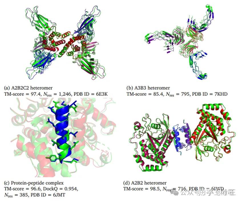 AlphaFold-multimer：势在必行的模型拓展 - 知乎