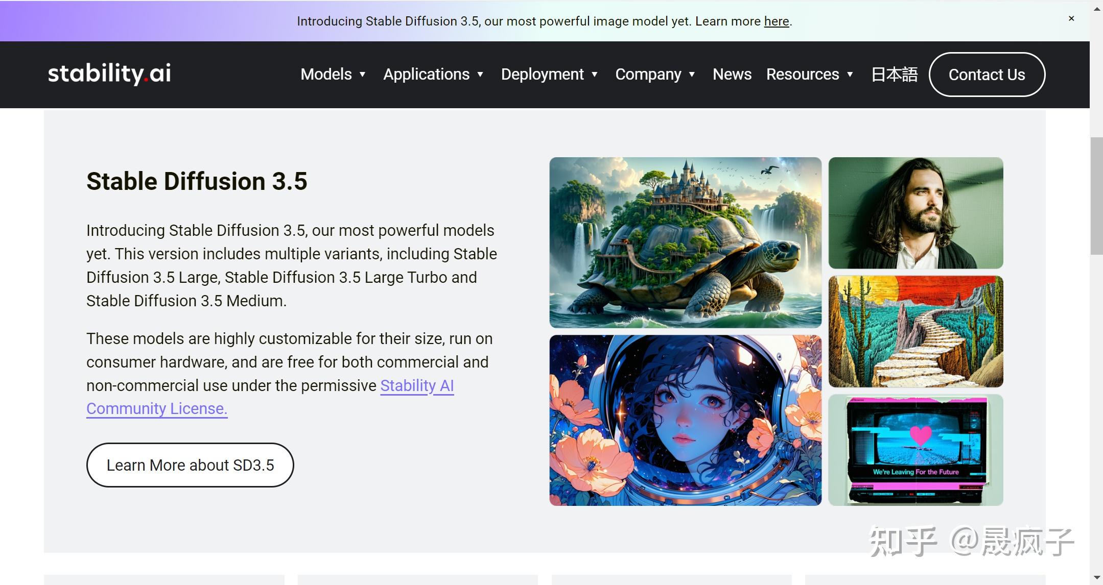 SD3.5来袭！却遭到疯狂吐槽~文末附模型下载分享 - 知乎