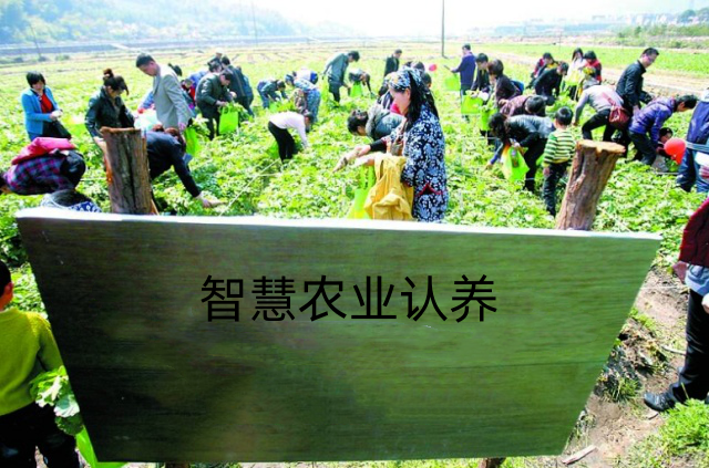 智慧农业认养系统开发模式有哪几种?认养农业小程序开发要多少钱? 知乎