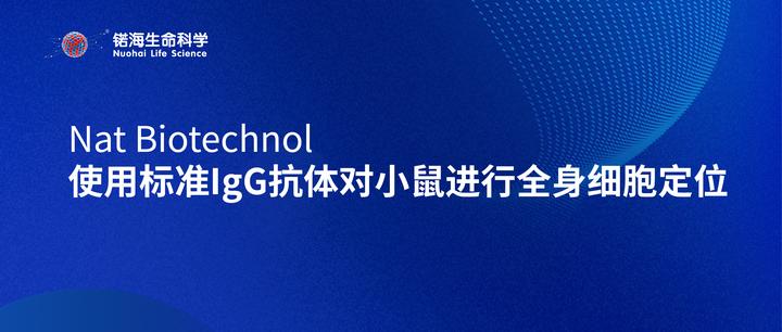 Nat Biotechnol | 使用标准IgG抗体对小鼠进行全身细胞定位 - 知乎