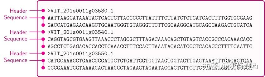 生信常用数据格式: FASTA 格式 - 知乎