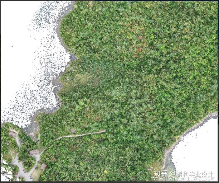 使用mask R Cnn模型来进行目标检测和实例分割 大规模高分辨率树种单木分割数据集 处理大规模高分辨率树种单木分割任务从14个不同树种类中分割和标注了23000个树冠 知乎