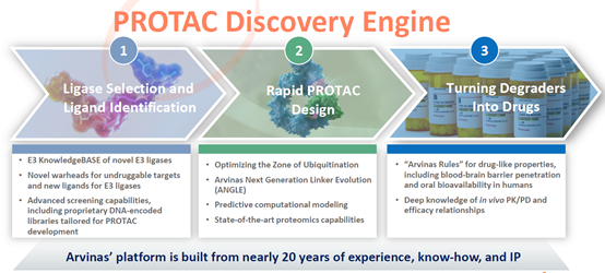蛋白质降解/PROTAC先驱—Arvinas, Inc. - 知乎
