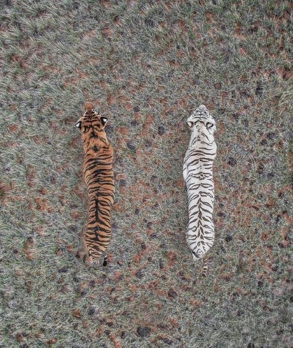 Topling Flink nexmark测试 - 知乎