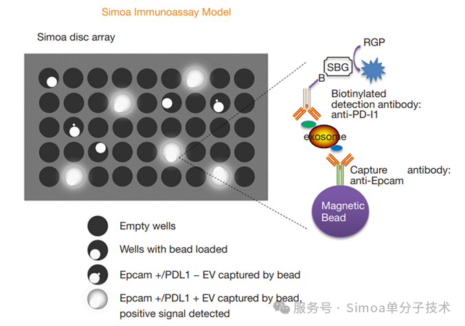 Simoa®Homebrew课堂系列 ⑦ | 肿瘤应用 | Simoa®检测循环系统中肺癌来源EV的数量 - 知乎