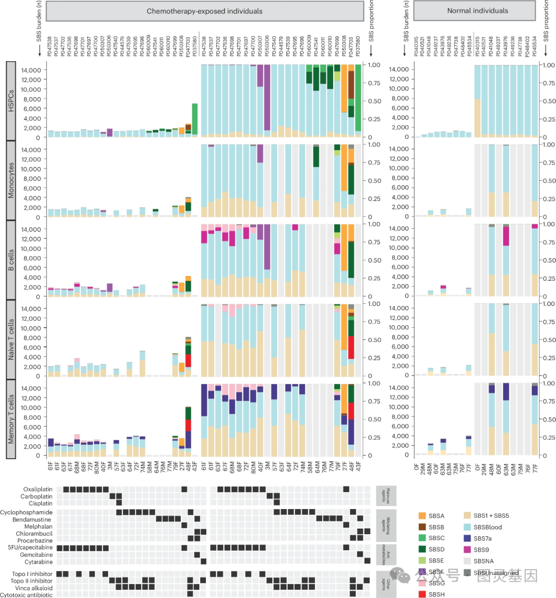 Nat Genetics | 揭示化疗遗传学效应，可指导癌症治疗 - 知乎