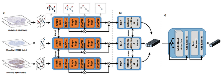 AMIGO: Sparse Multi-Modal Graph Transformer with Shared-Context Processing ...