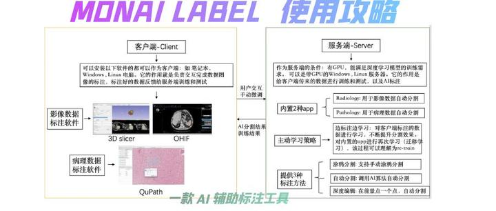 MONAI Label 安装流程及使用攻略 - 知乎