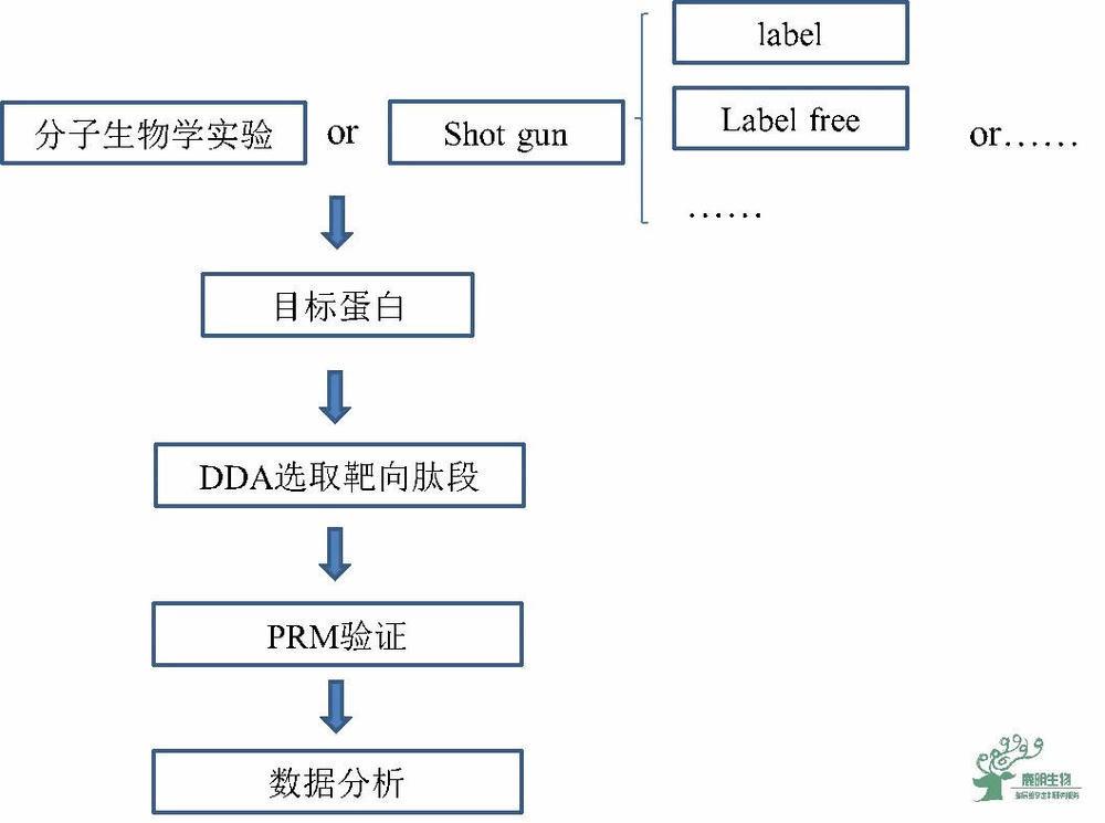 DIA+PRM技术：全蛋白组筛选及目标蛋白验证一体化 - 知乎