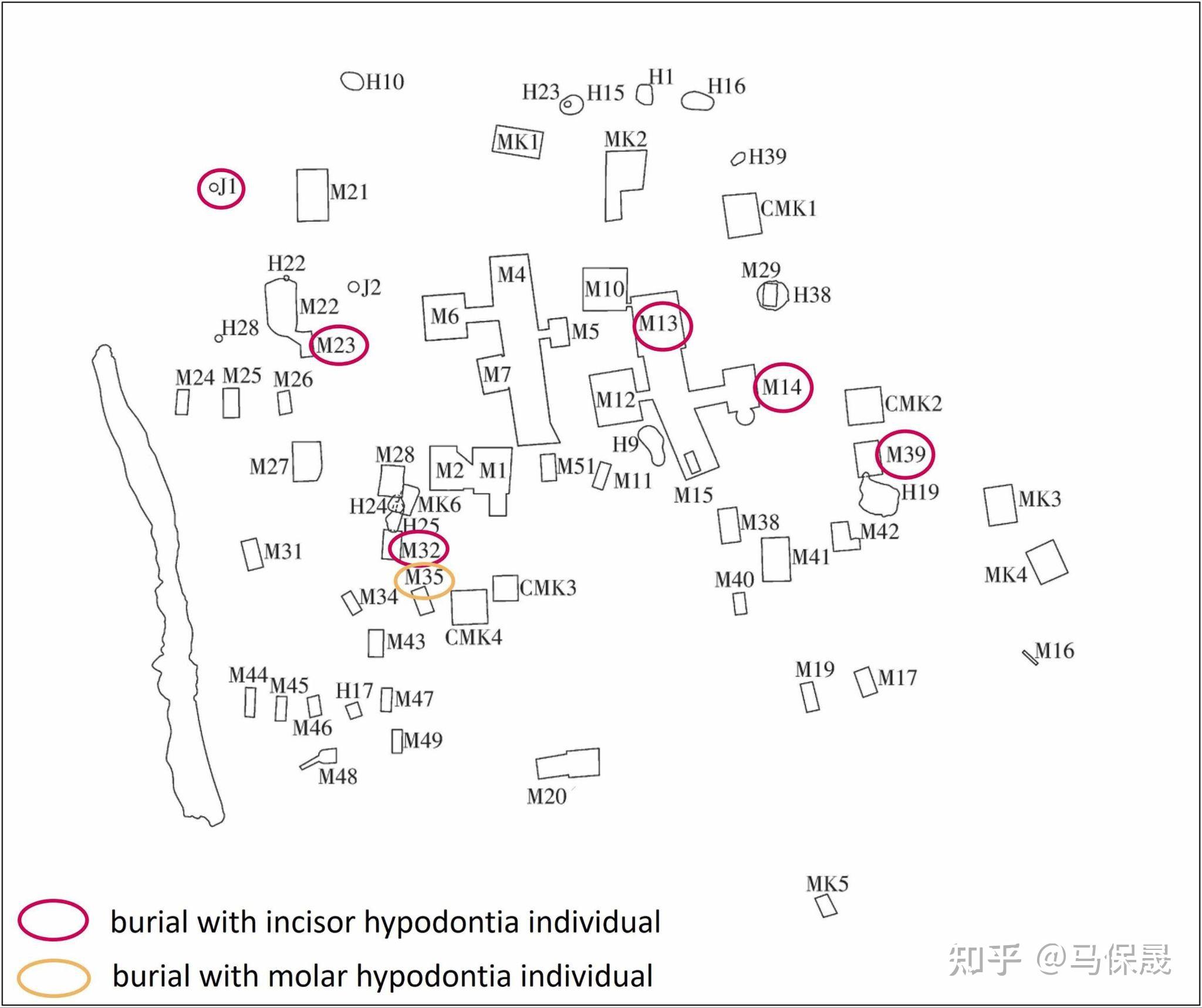义渠国：Q1a-MF1643 ？ - 知乎