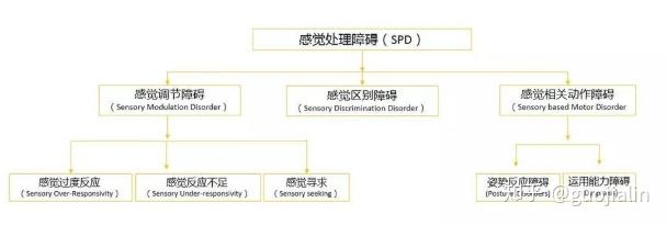 发育性协调障碍（DCD）与感觉处理障碍（SPD）之间的差异 - 知乎