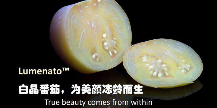 美白界的秘密武器，白晶番茄（白番茄）是什么？ - 知乎