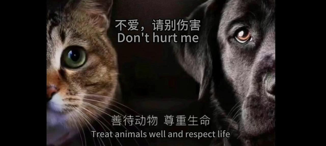 善待生物,不爱请别伤害 知乎