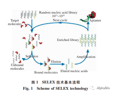 SELEX技术会成为未来吗？ - 知乎