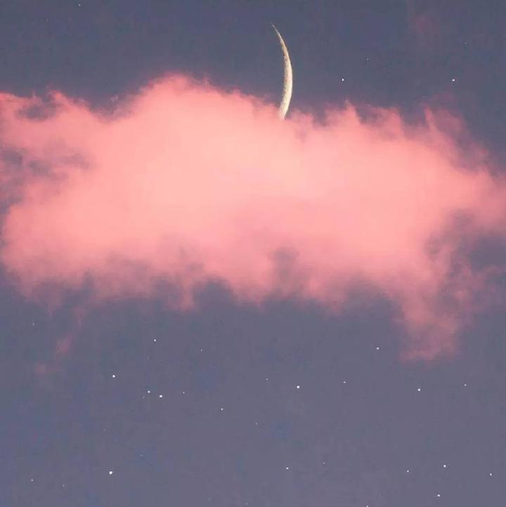 单细胞文章打卡88---Wolf Reik - spatially mouse organogenesis - 知乎