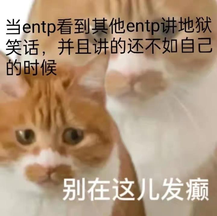 ENTP的人格特征 - 知乎