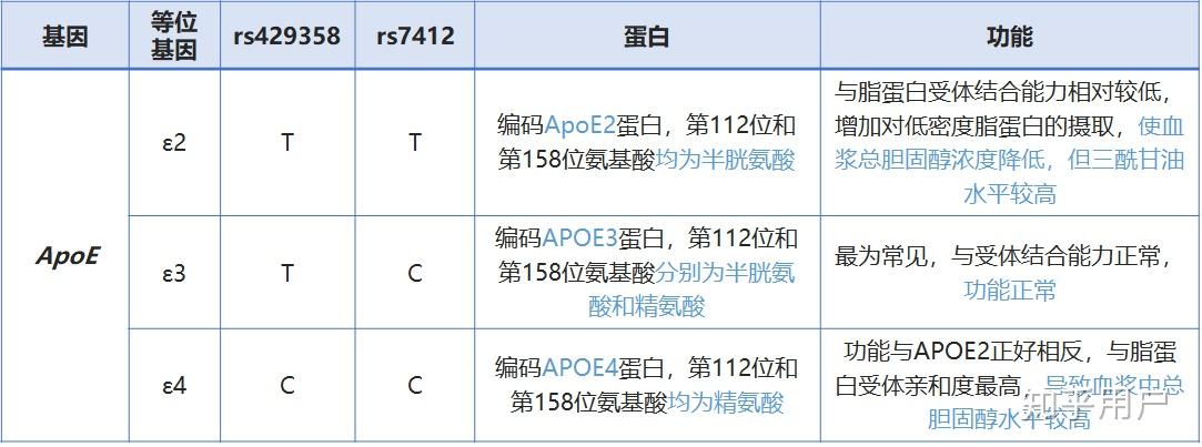ApoE基因E2/E4，表型ApoE3什么意思? - 知乎