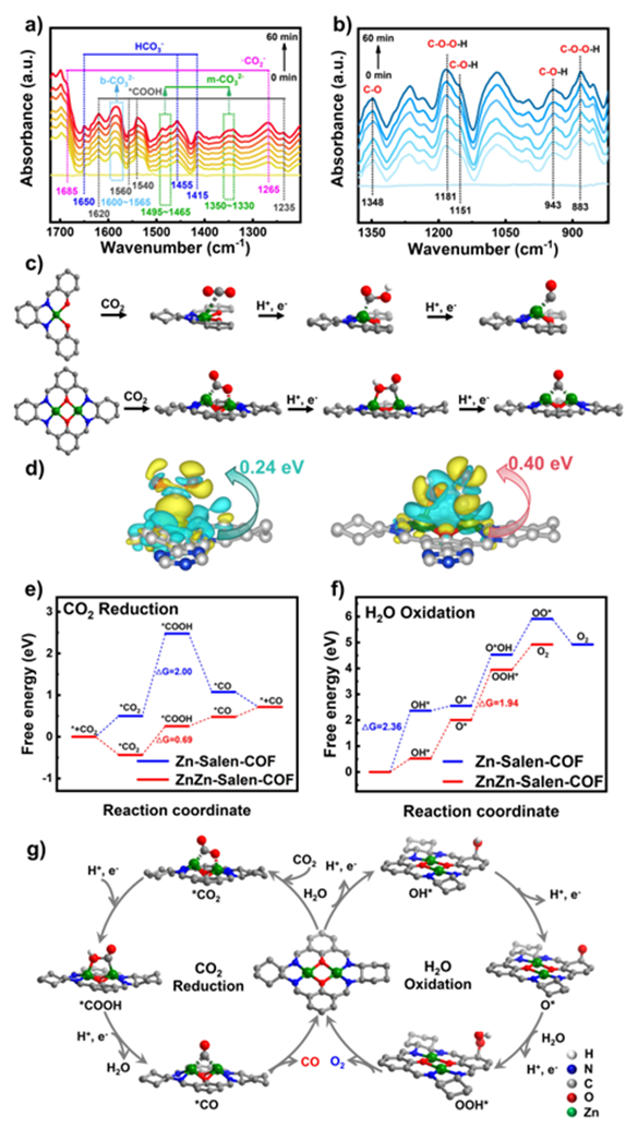 光催化丨董鸿/张凤鸣/兰亚乾Angew：双金属Salen-COFs-低浓度CO2转化 - 知乎