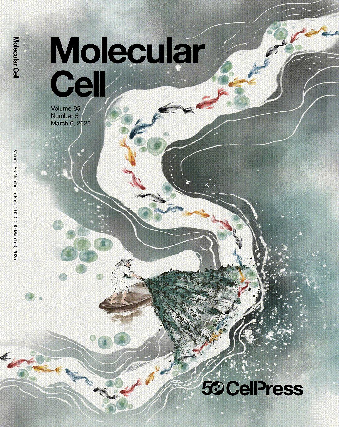 《Molecular cell》封面设计全过程分享 | Vol.85 No.5 - 知乎
