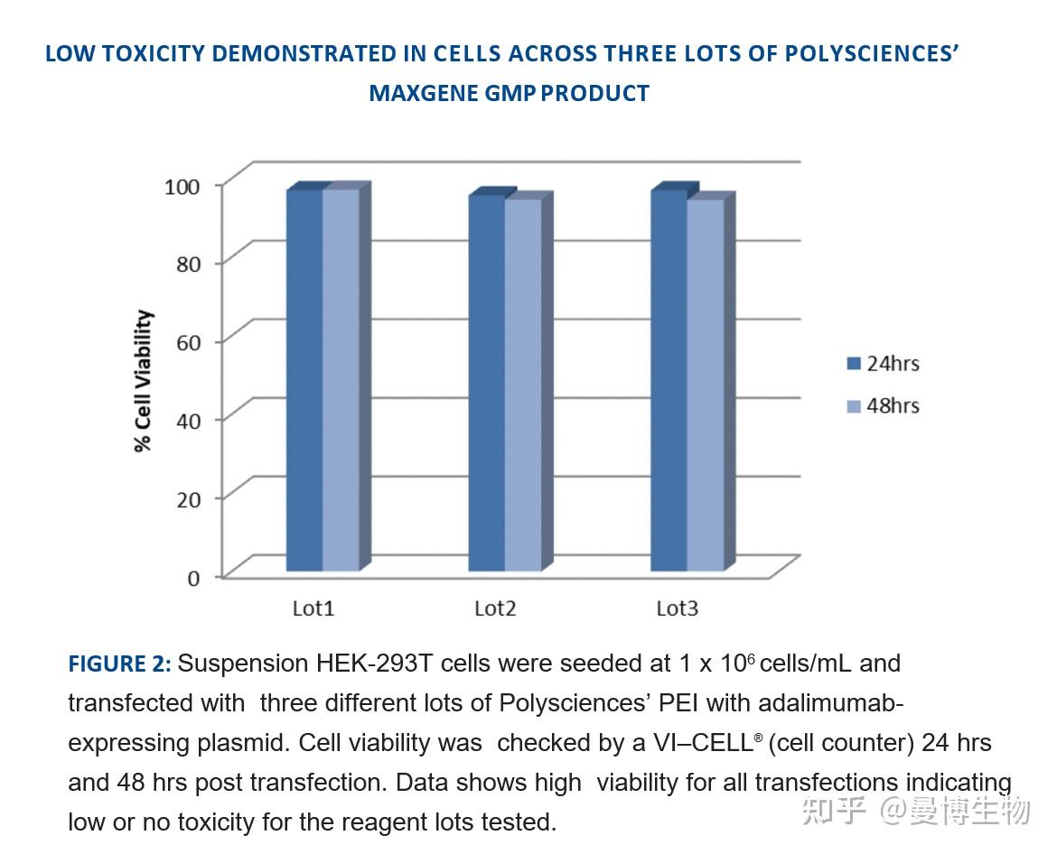 基因与细胞治疗用转染试剂-Polysciences PEI - 知乎