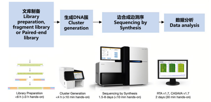 【学术分享第2期】NGS技术原理及其应用 - 知乎