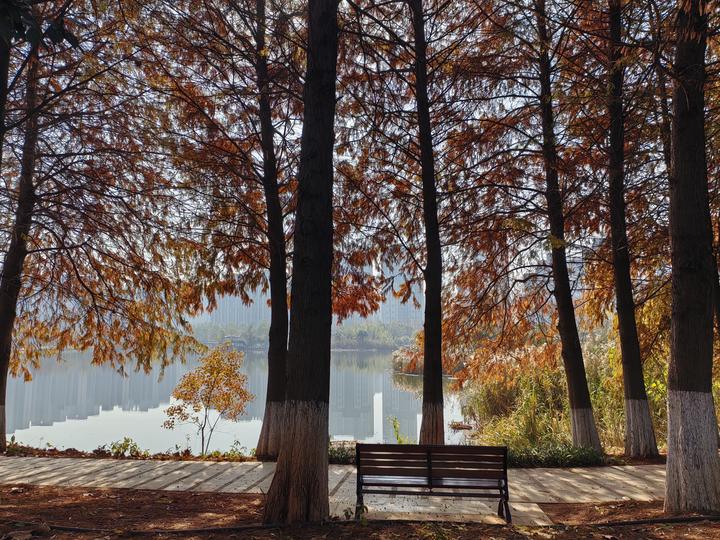 INFJ的十问十答|自我自洽最新洞察 - 知乎