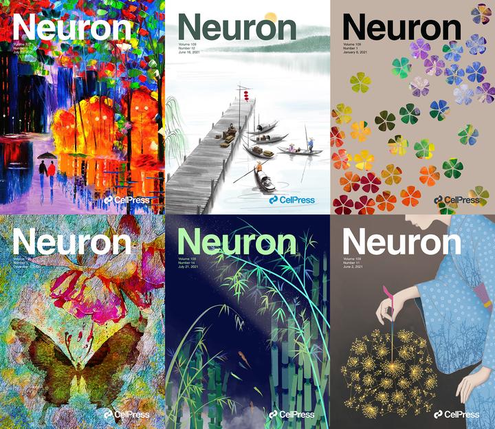 72张《Neuron》精美封面鉴赏丨2019~2021年半篇 - 知乎