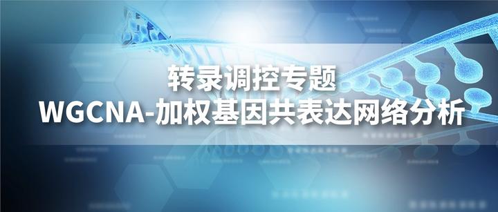 转录调控专题 | WGCNA-加权基因共表达网络分析 - 知乎