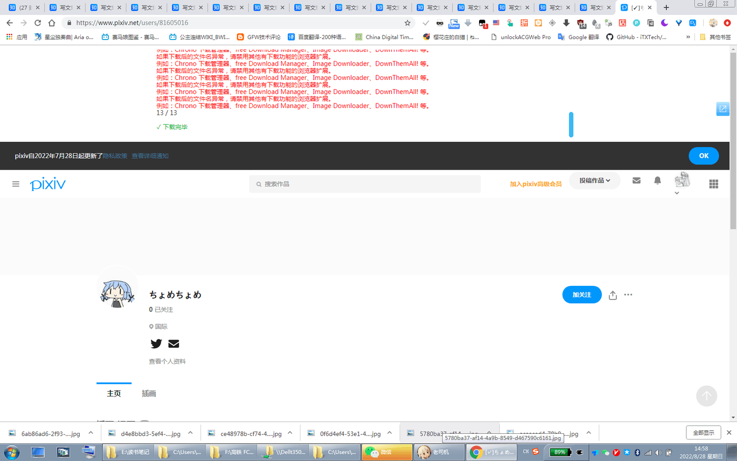 Powerful Pixiv Batch Downloader批量下载器使用教程 - 知乎