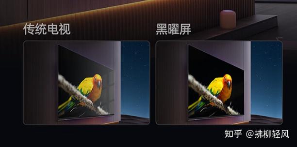 万元以内，2024年618最值得买的MiniLED电视是哪款？海信E5、E8系列爆款电视参数配置分析，一文弄清如何选 - 知乎